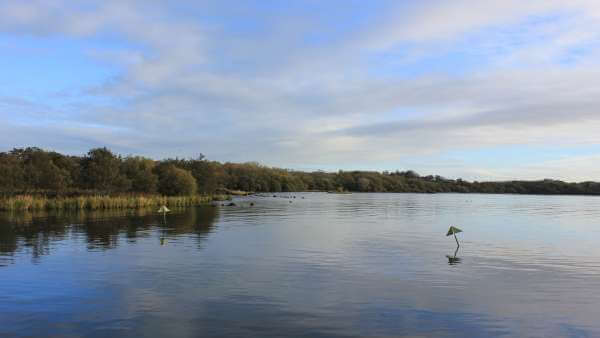 Lough Neagh Legends Experience - Abhainn Cruises